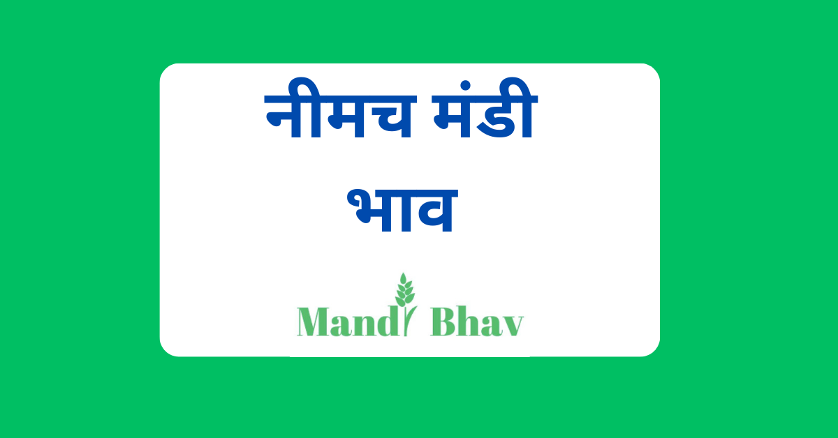 Online Mandi Bhav - मंडी भाव