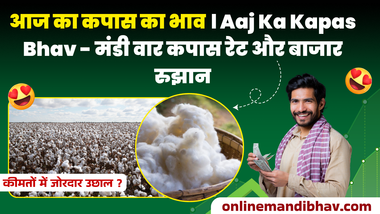 Online Mandi Bhav - मंडी भाव